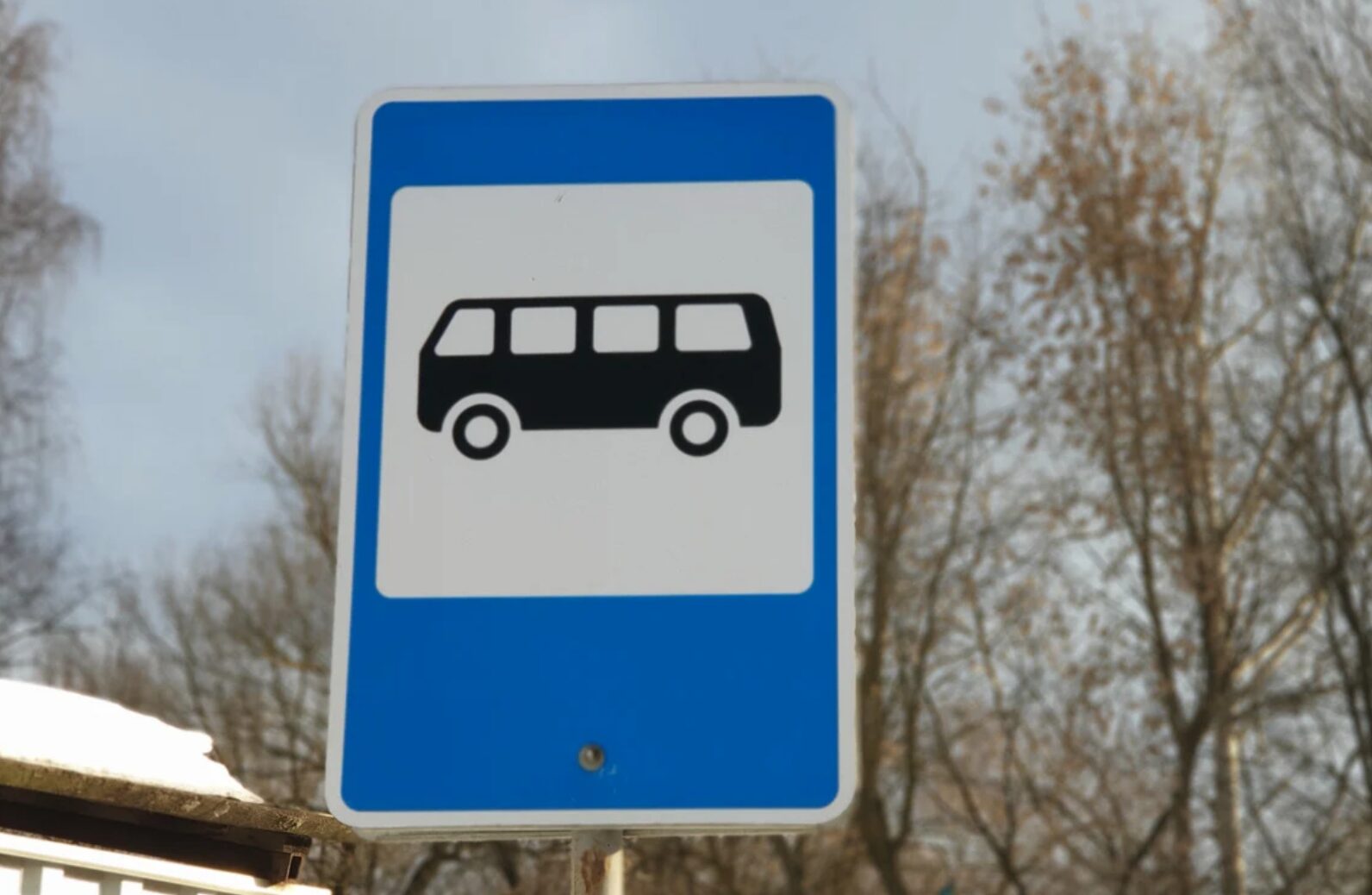 Vor Und Hinter Einem Haltestellenschild Durfen Sie Nicht Parken